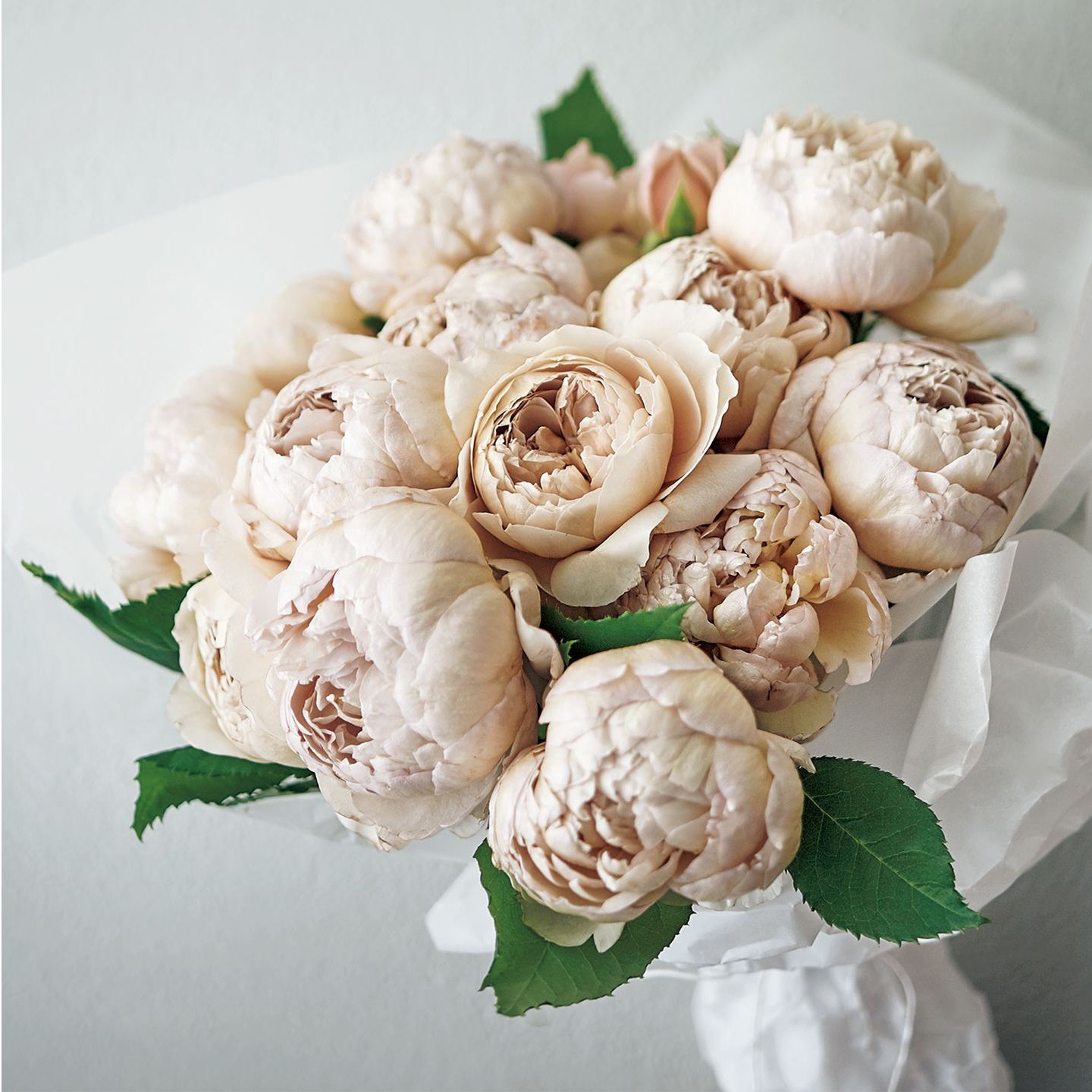 唯一無二の“わばら”だけを束ねた「WABARA Rose Farm KEIJI」のフラワーギフト｜健やかな花に宿る瑞々しい息吹 ...